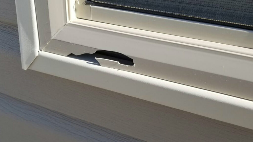 Hail Damaged Windows in Minneapolis and St. Paul | Great Plains Millwork